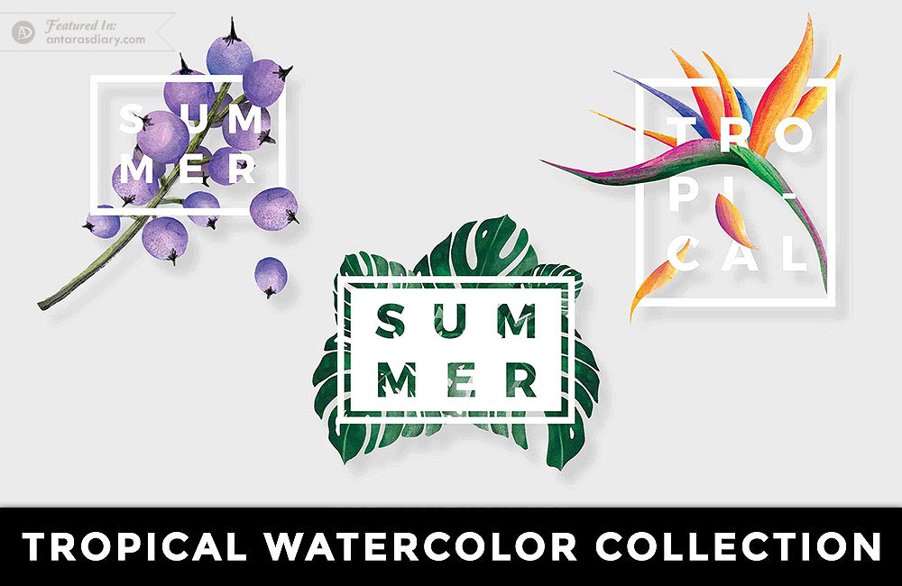 Tropical Watercolor Collection (Free Sample) – Antara's Diary